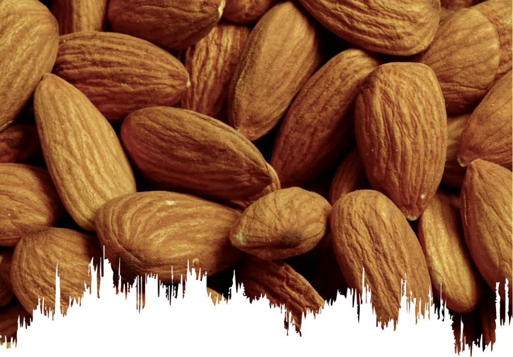 Capabilities | Trail Mix Manufacturing by Century Snacks